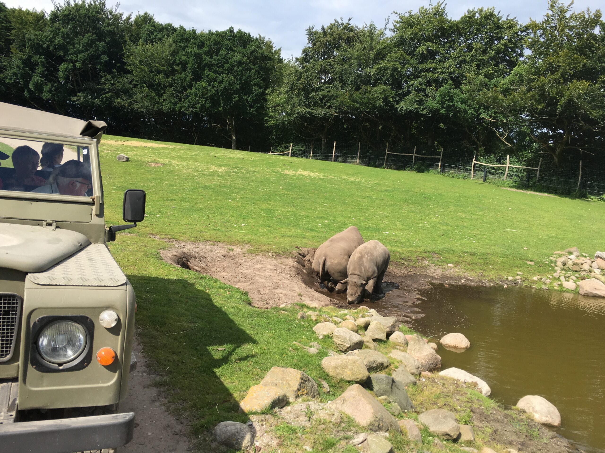 Ree Park - Safarioplevelser og vilde dyr for hele familien