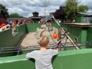 Jyllands Park Zoo - Anmeldelse - Pris - Kort - Haunstrup Dyrepark, Herning