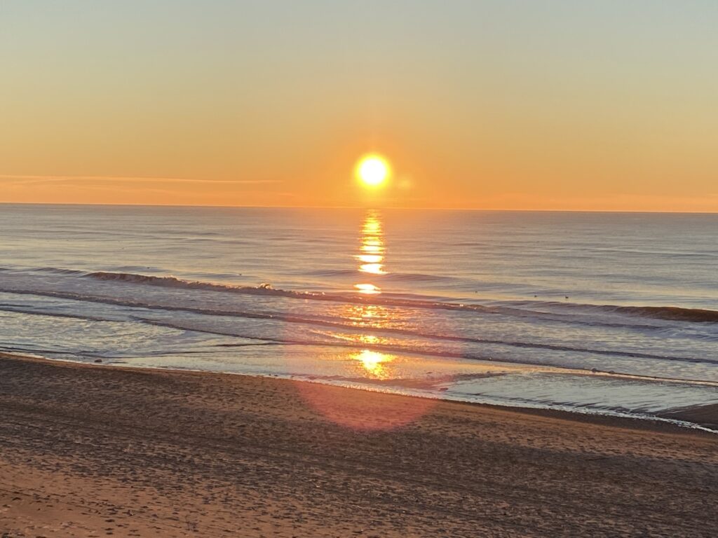 Jyllands Park Zoo – Anmeldelse & Guide | Oplevelse i Midtjylland